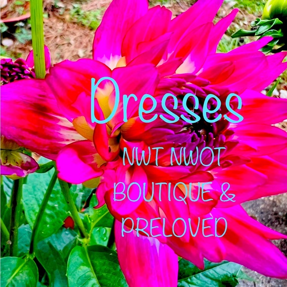 Dresses | Divider For Iso Dresses | Poshmark